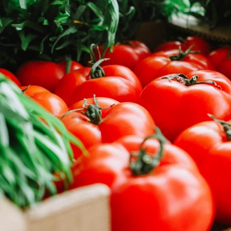 Is Tomato a Fruit? – Roots Plants