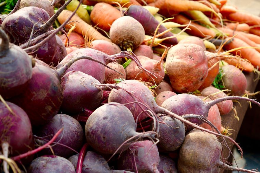 Root Vegetable Plants: Rich Flavours & British Grown – Roots Plants