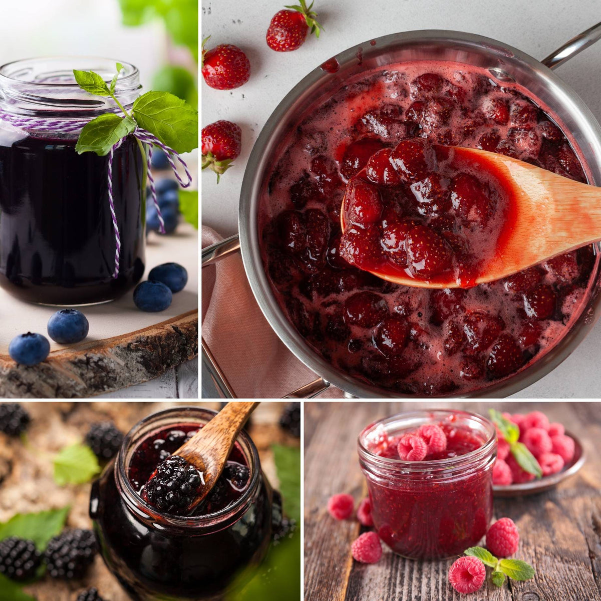 Jam Maker's Fruit Plants Collection | Allotment in a Box – Roots Plants