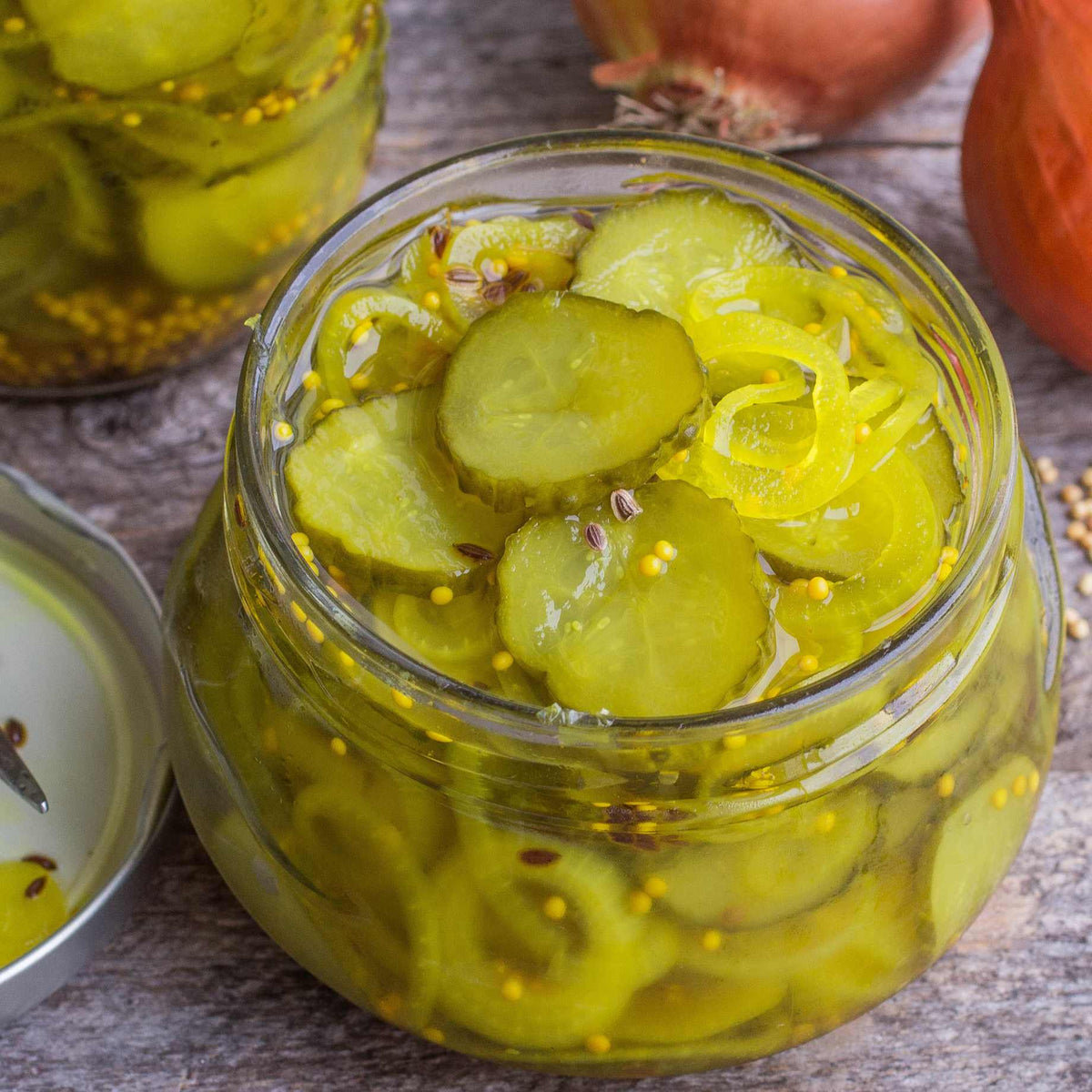 Cucumber 'Mini Hana F1' Plant - Roots Plants