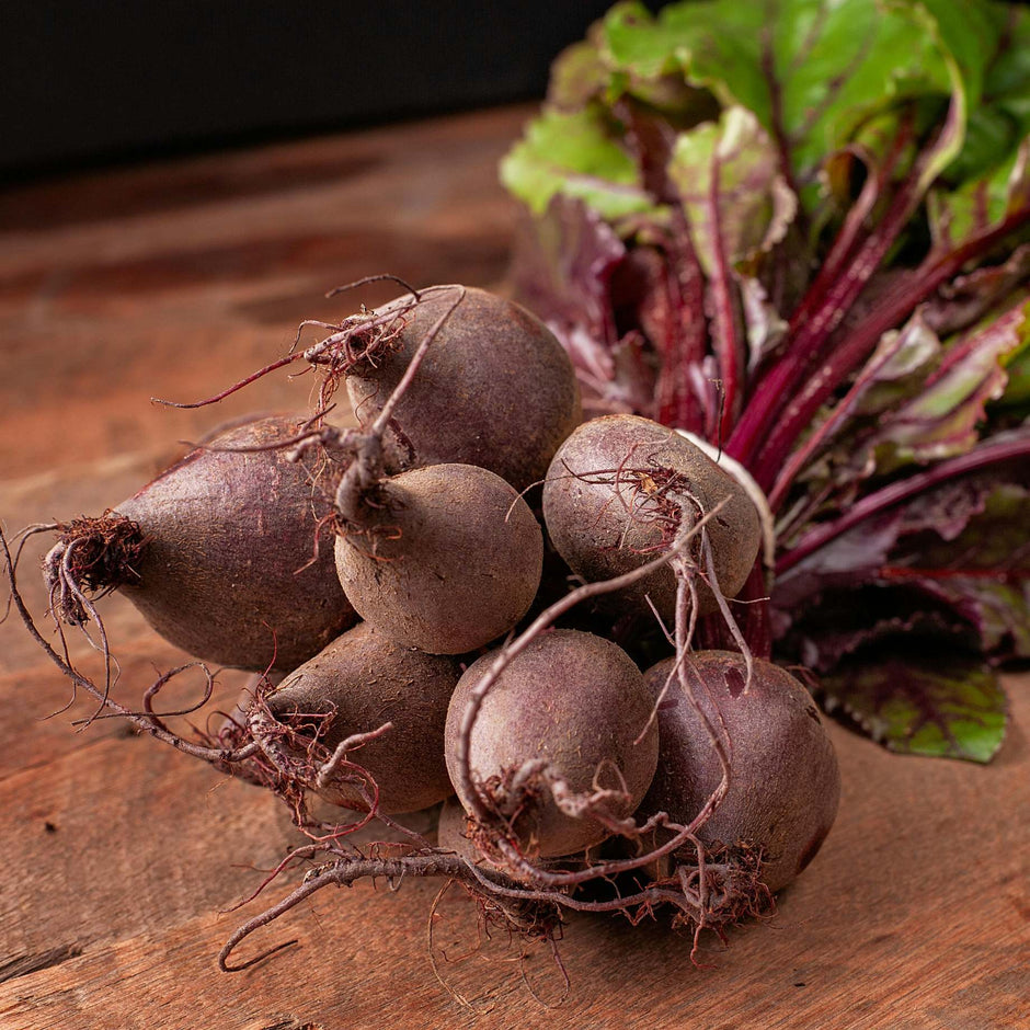 How to Grow Beetroots in the UK – Roots Plants
