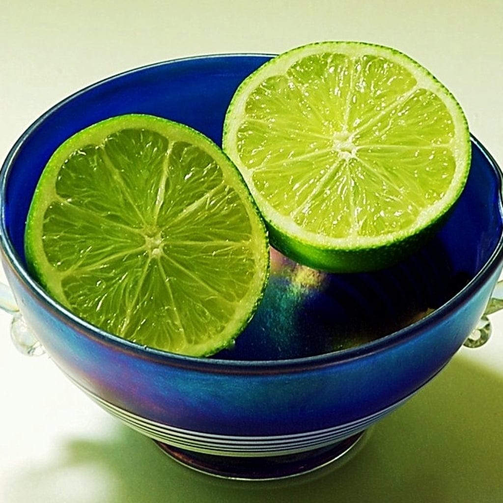 Lime Tree | Lime Of Tahiti | Grafted Mini-Stem - Roots Plants