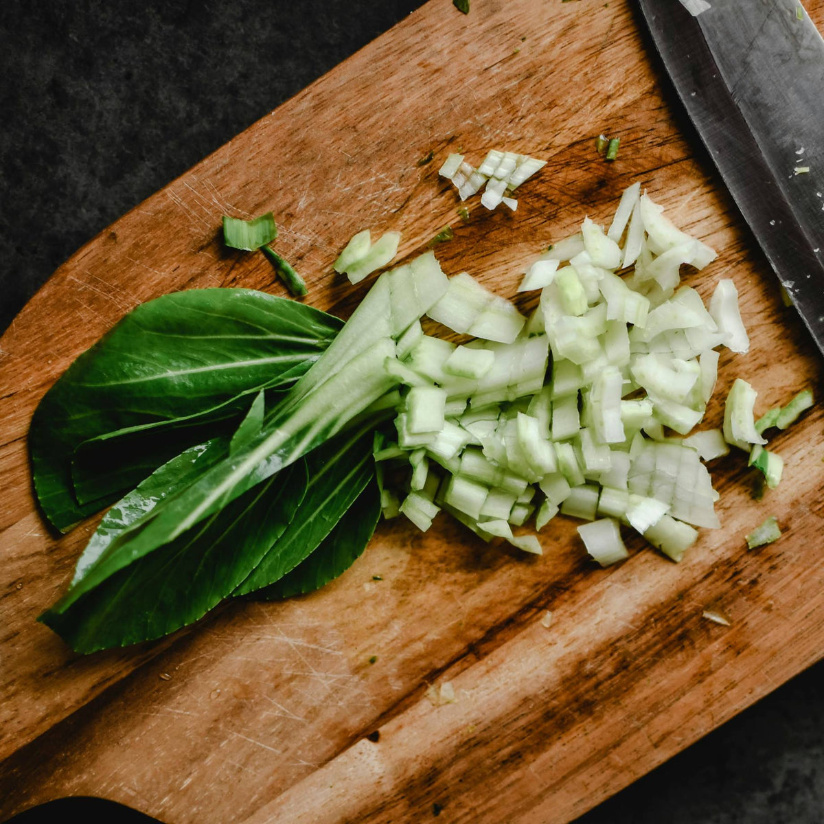 'Yang Qing Choi' Pak Choi Plants – Roots Plants