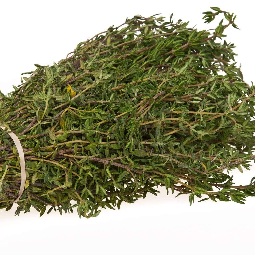 Thyme Plants - Roots Plants