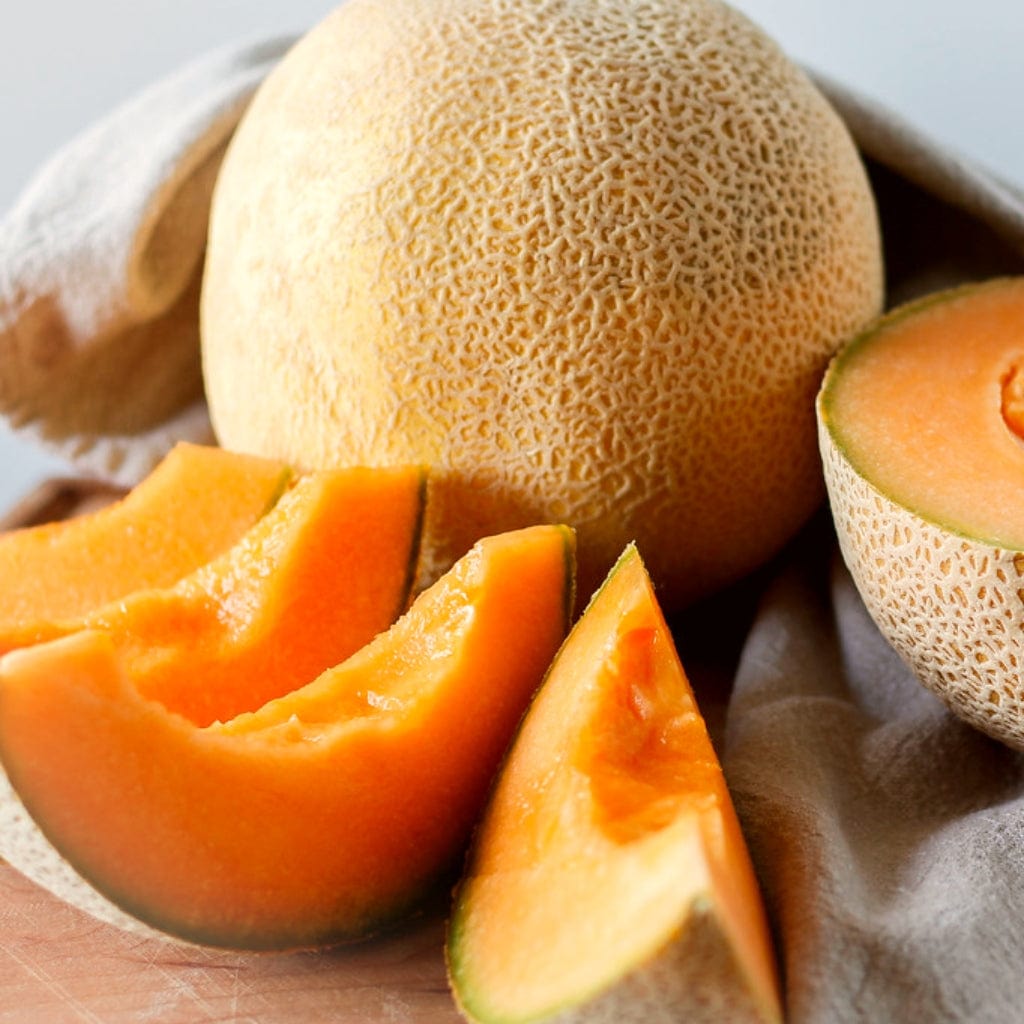 Cantaloupe Melon Plants – Roots Plants
